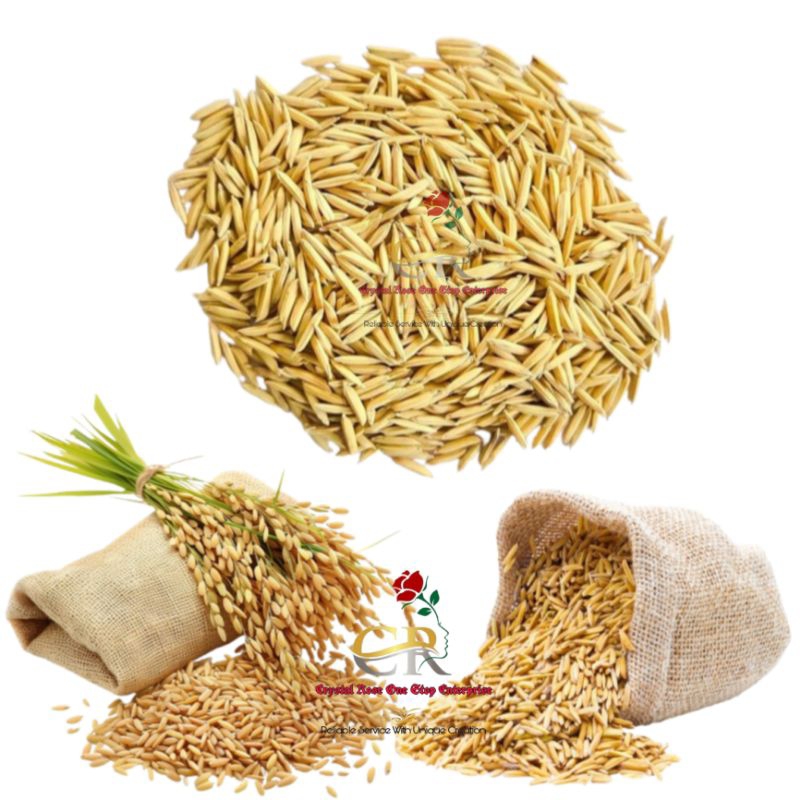 Paddy Seeds/Dhanyam (100 Grams) | Shopee Malaysia