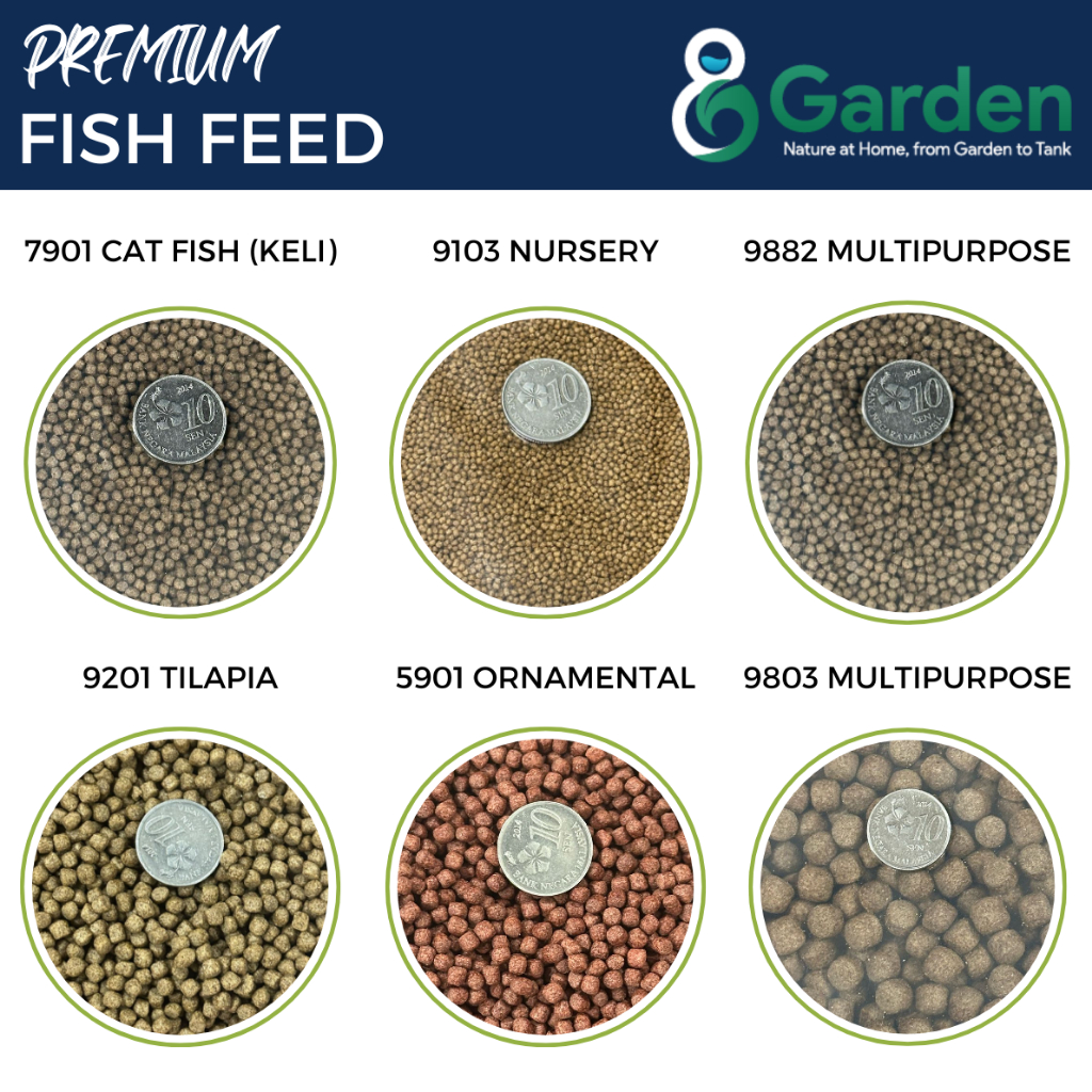 1KG Premium Dindings Makanan Ikan Aquarium Kolam Guppy Betta Koi ...