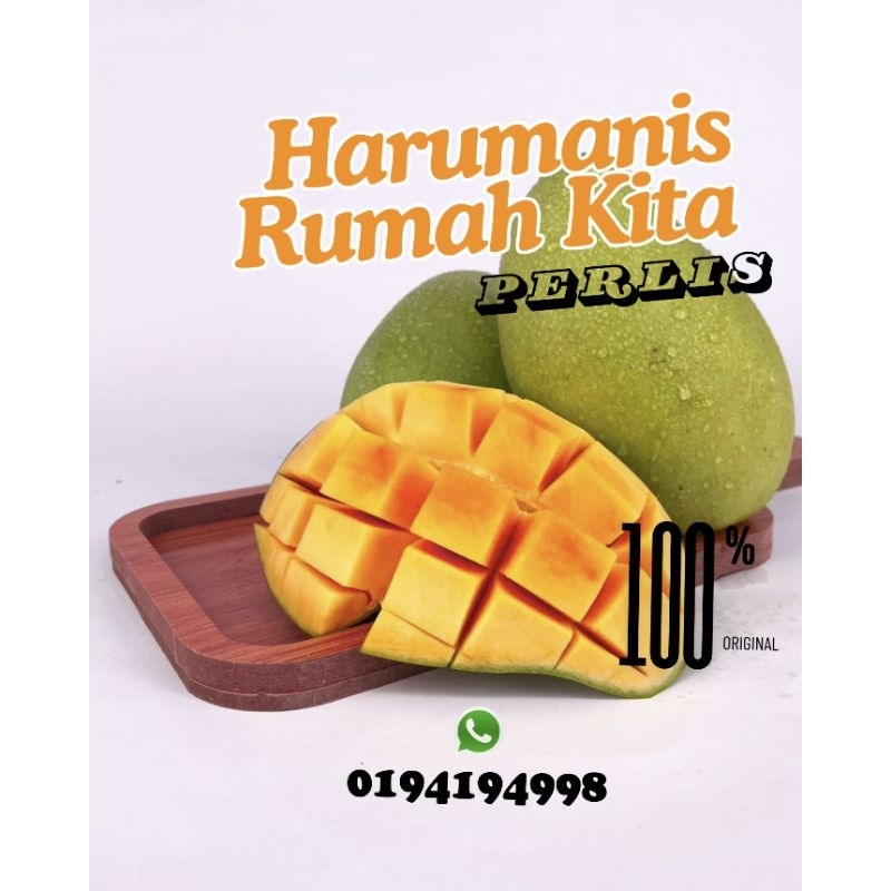 Mangga HARUM MANIS PERLIS.Harummanis 100% Original. | Shopee Malaysia