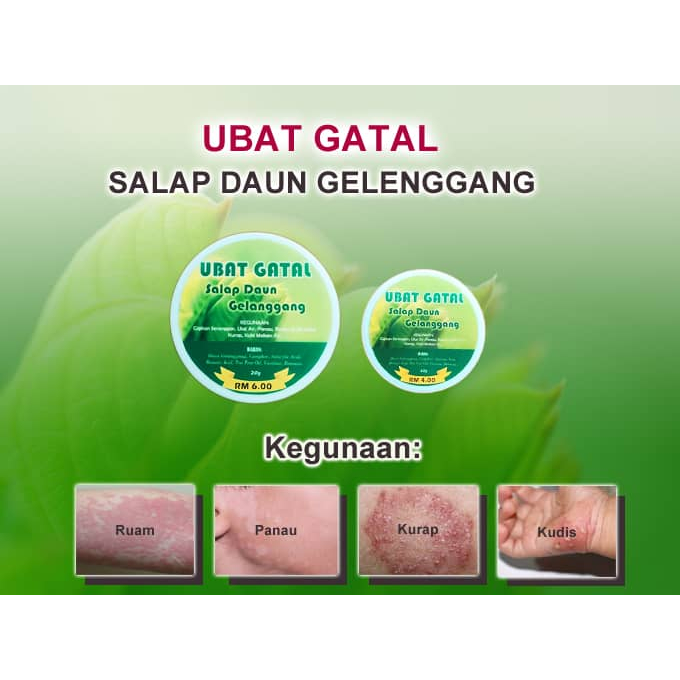 Ubat Gatal Daun Salap Gelenggang | Shopee Malaysia