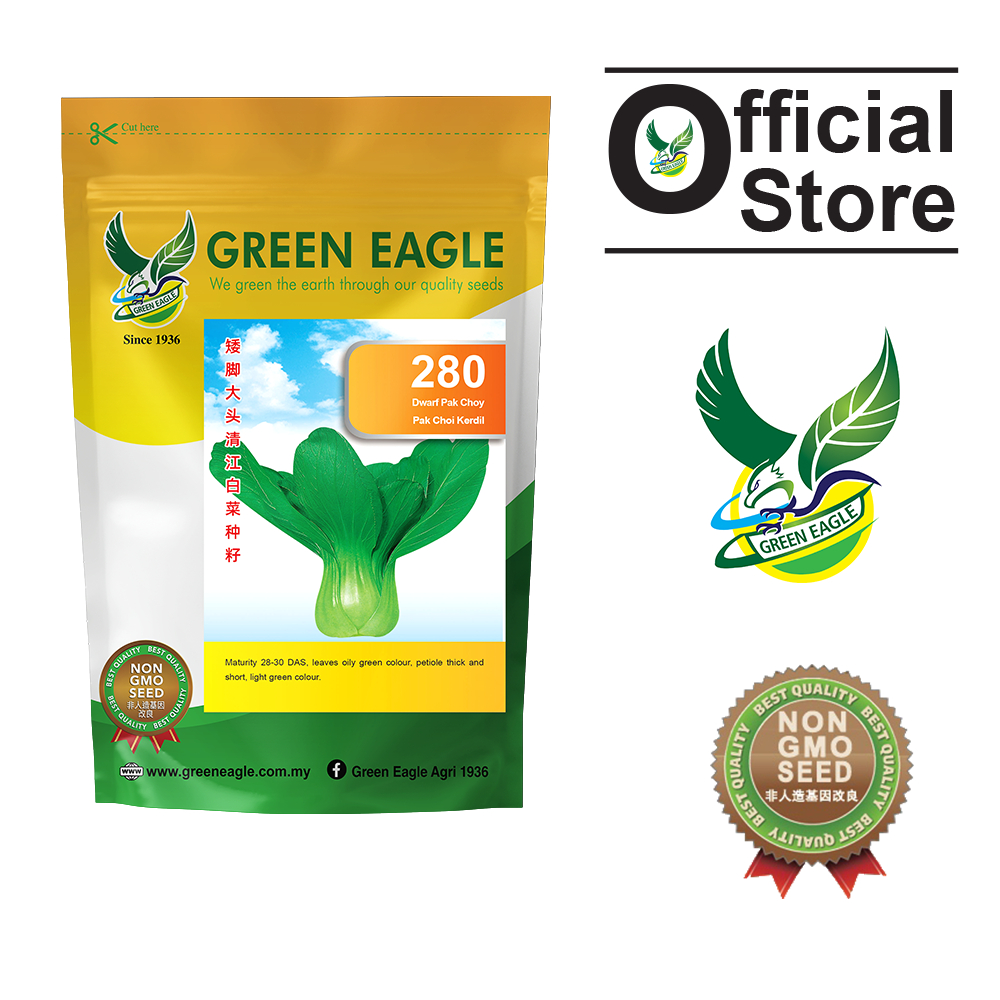 GE 280 Dwarf Type Pak Choy | Shopee Malaysia