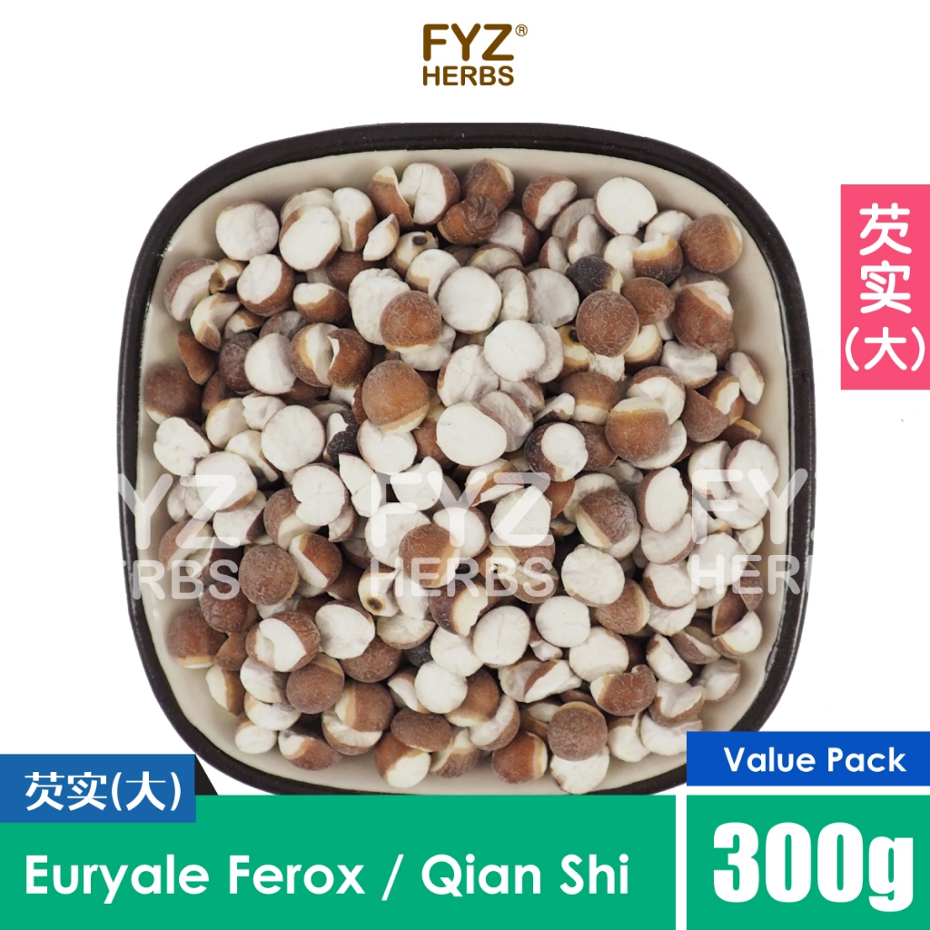 FYZ Herbs Euryale Ferox / Qian Shi (Big) - 300g | 大芡实 300g | Shopee ...