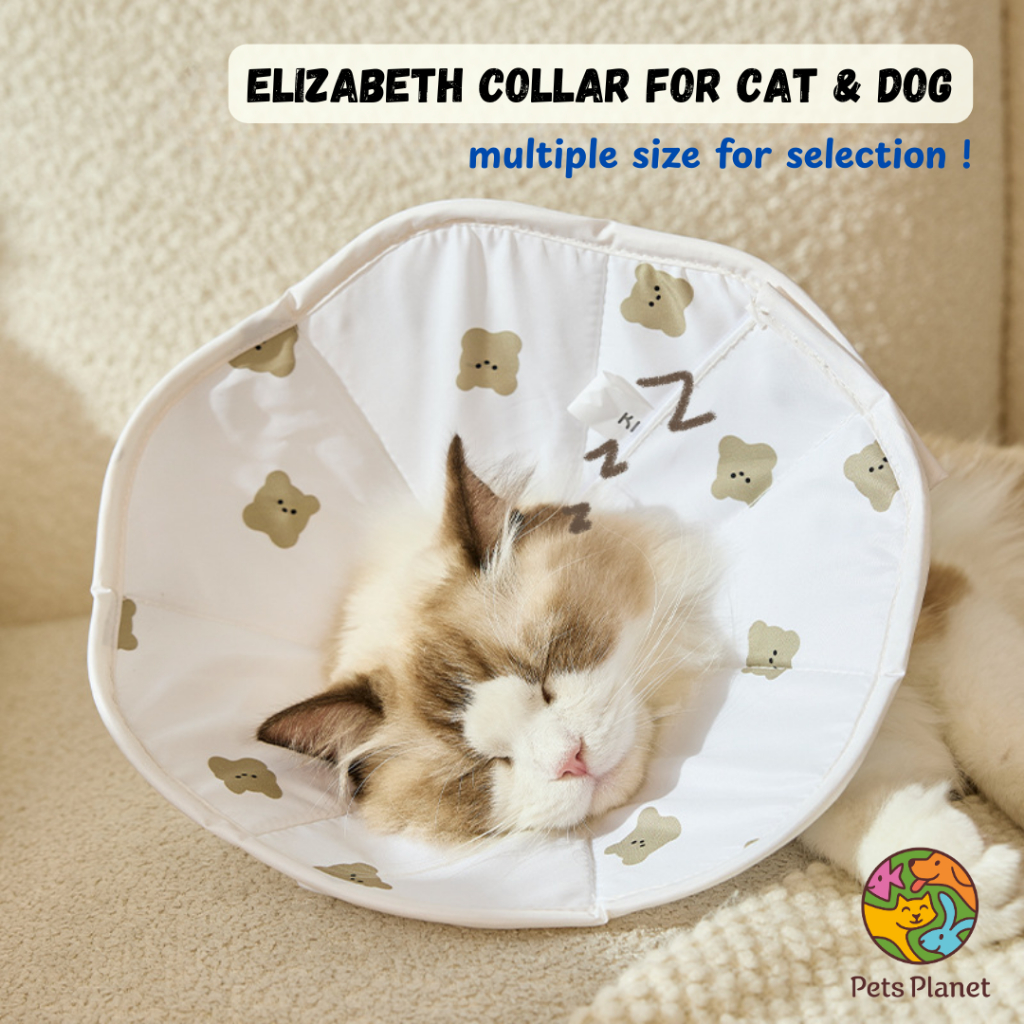 Premium Elizabeth Collar for Pet | Cat Dog Recovery E-Collar | Kolar ...