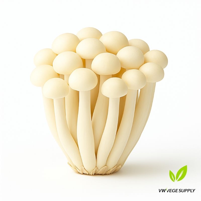 White Shimeji Mushroom (1 packet) | Shopee Malaysia