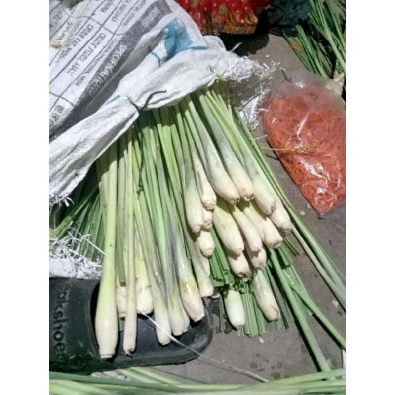 serai segar 500g/1kg | Shopee Malaysia