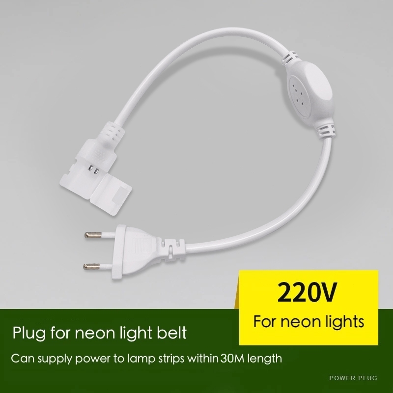 LED Neon Light With Connector Plug Fixing Clip Accessories | Shopee ...