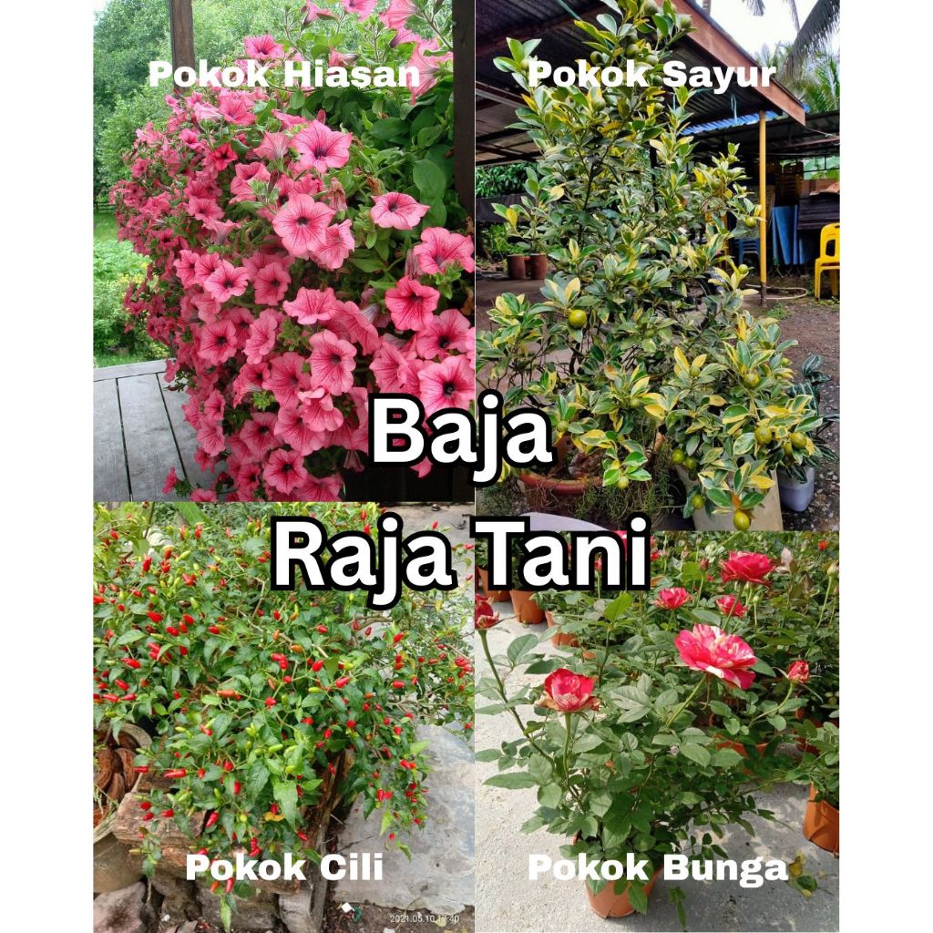 BAJA RAJA TANI | Baja pokok gemuk dan subur buah, bunga, sayuran, baja ...