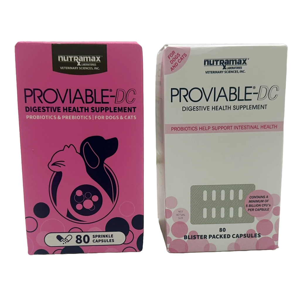 Nutramax Proviable-DC Multi-Strain Probiotics for Cats & Dogs 5 billion ...