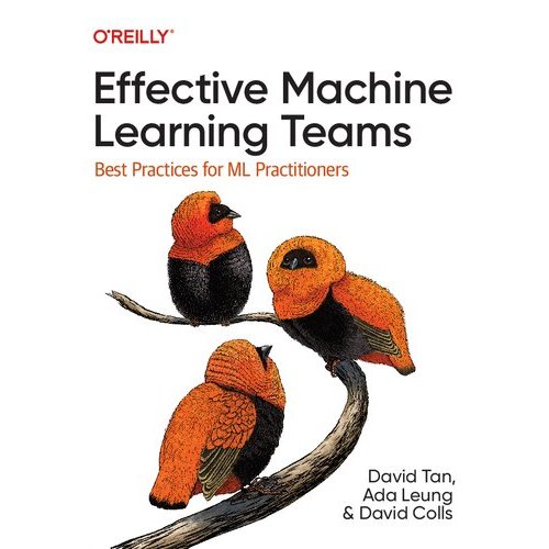 Effective Machine Learning Teams: Best Practices for Ml Practitioners ...