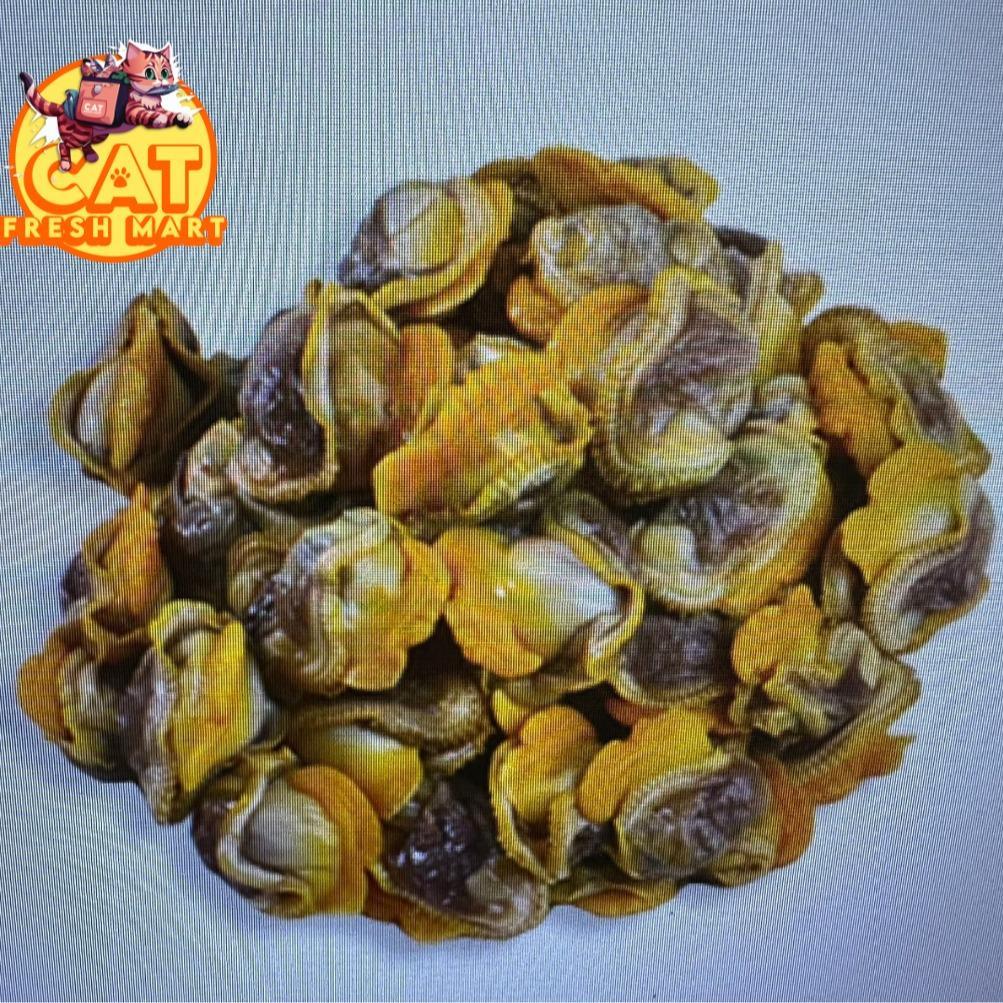 ISI KERANG 300g - FROZEN FOOD - SPECIAL SEALED WITH VACUUM PACK ...