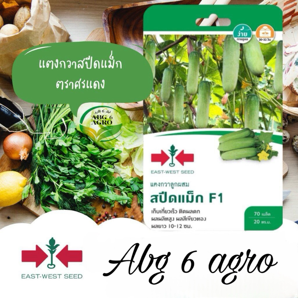 70Biji Benih Timun Baby Speedmax F1 Hybrid /Baby Cucumber 🥒 Seeds/Timun ...