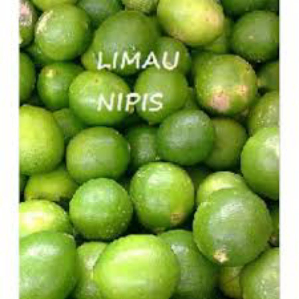 Limau Nipis Segar 1KILO | Shopee Malaysia