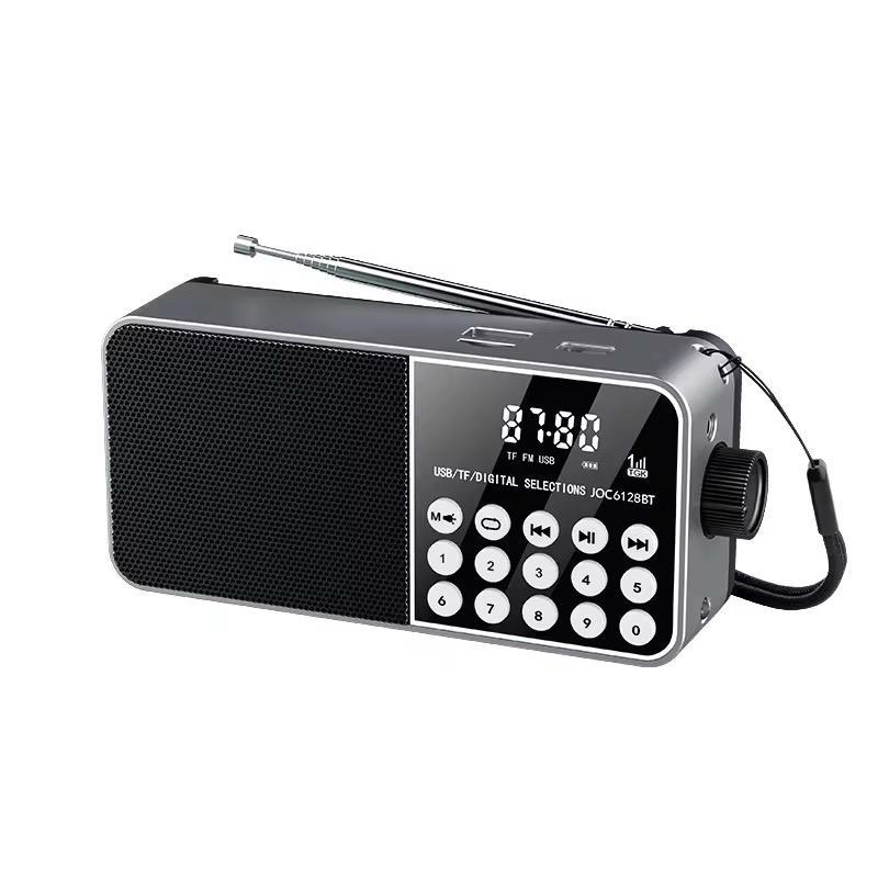 Portable Rechargeable Radio – Digital FM Radio with Bluetooth, USB/SD ...