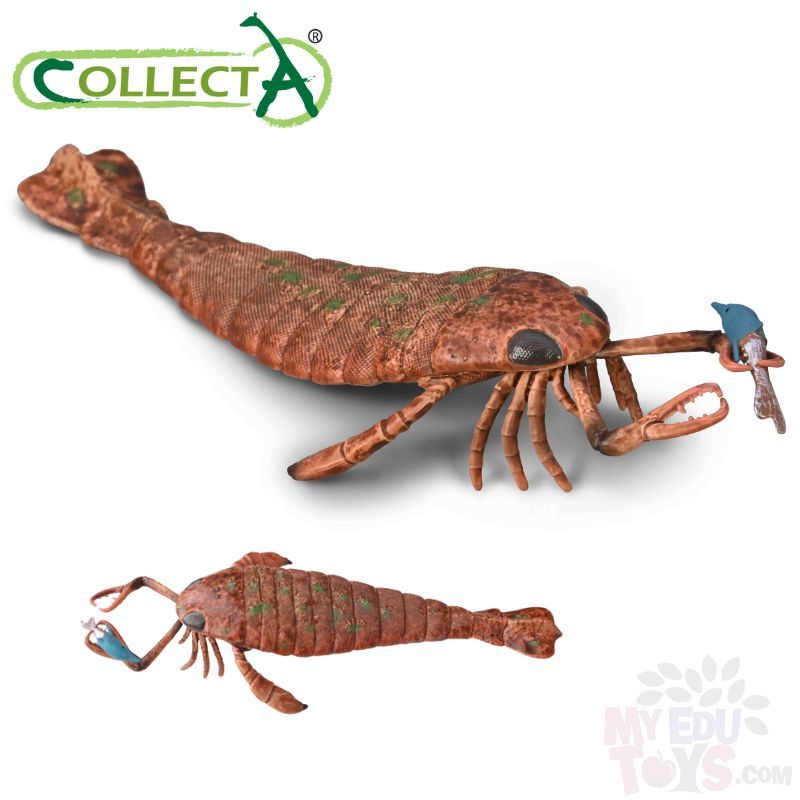 Jaekelopterus with prey 1:20 Scale - Collecta 80030 Prehistoric Animal ...