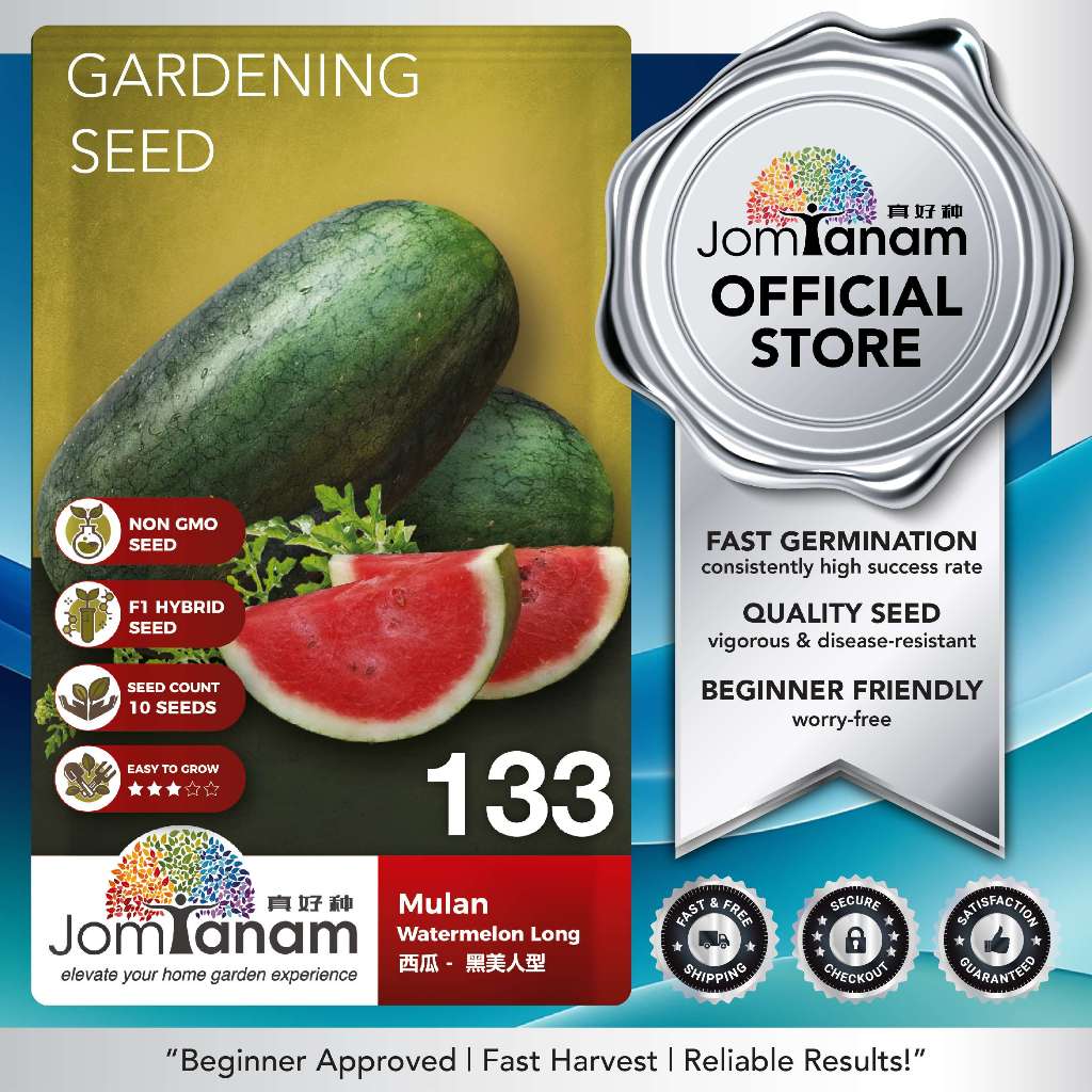 Black Beauty Watermelon Seed Mulan 133 JOM TANAM Benih Tembikai Hitam ...