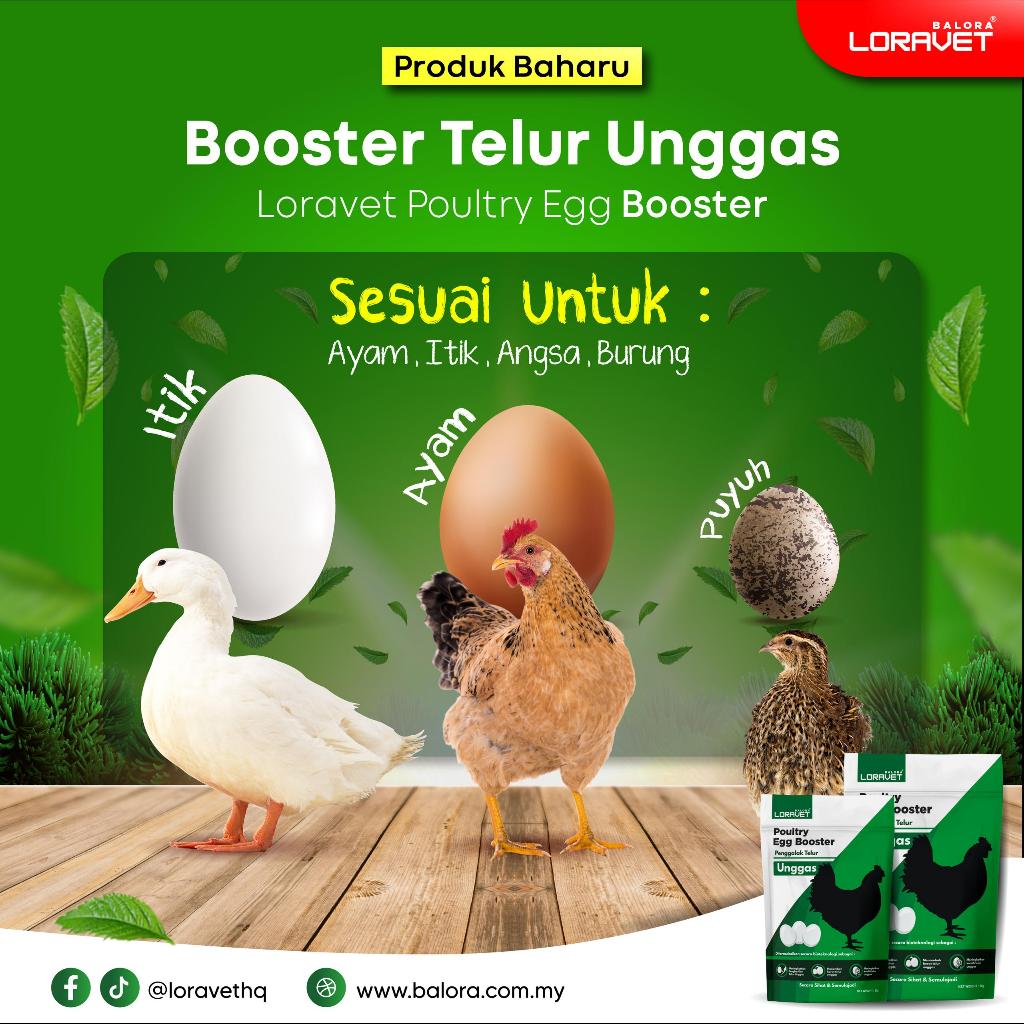 LORAVET PENGGALAK TELOR ( AYAM, ITIK, BURUNG ) SET PERCUBAAN 5 PACK ...