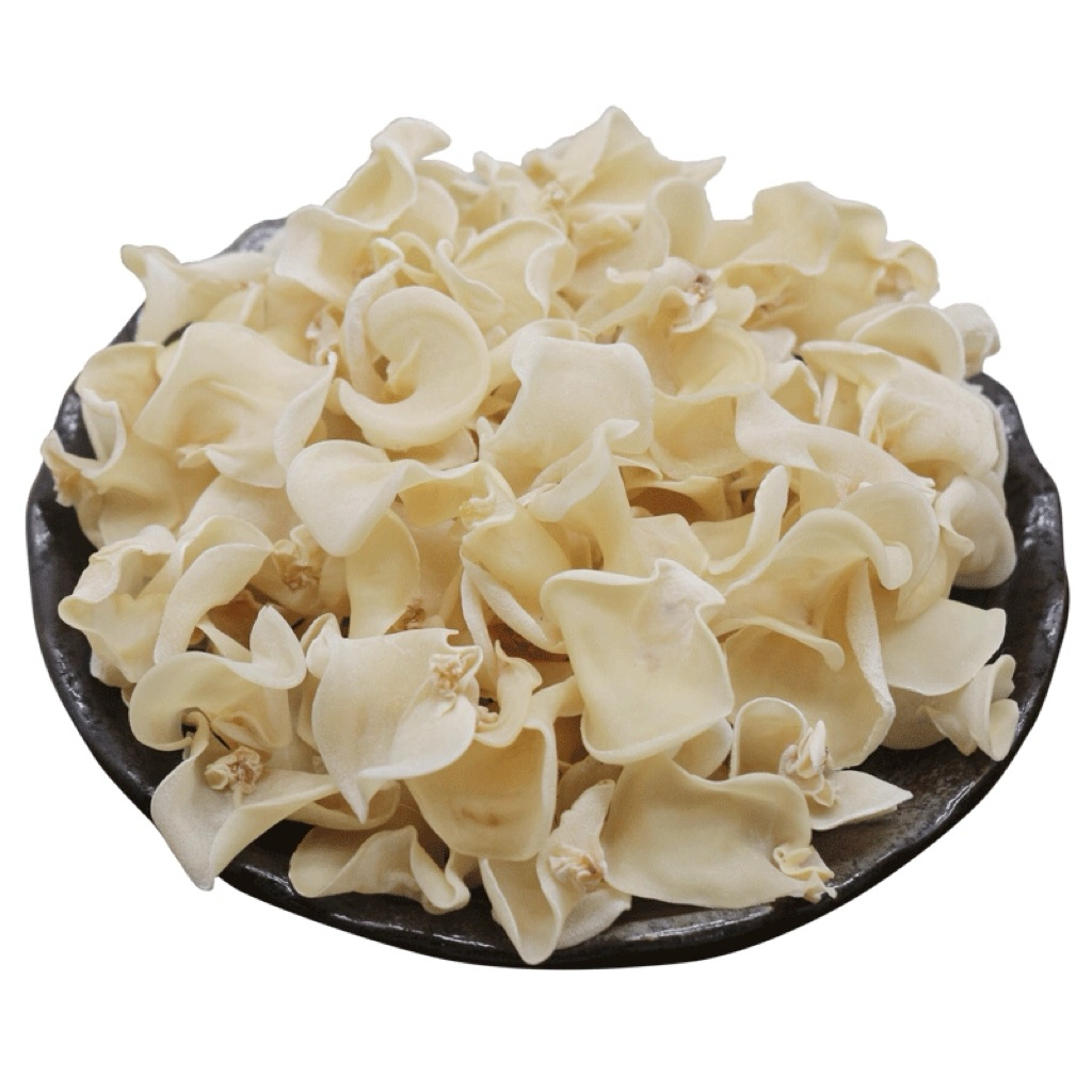 【Daruma.os】白玉小猫耳 白玉鼠耳 木耳 White Jelly Fungus Cendawan Telinga Kucing ...