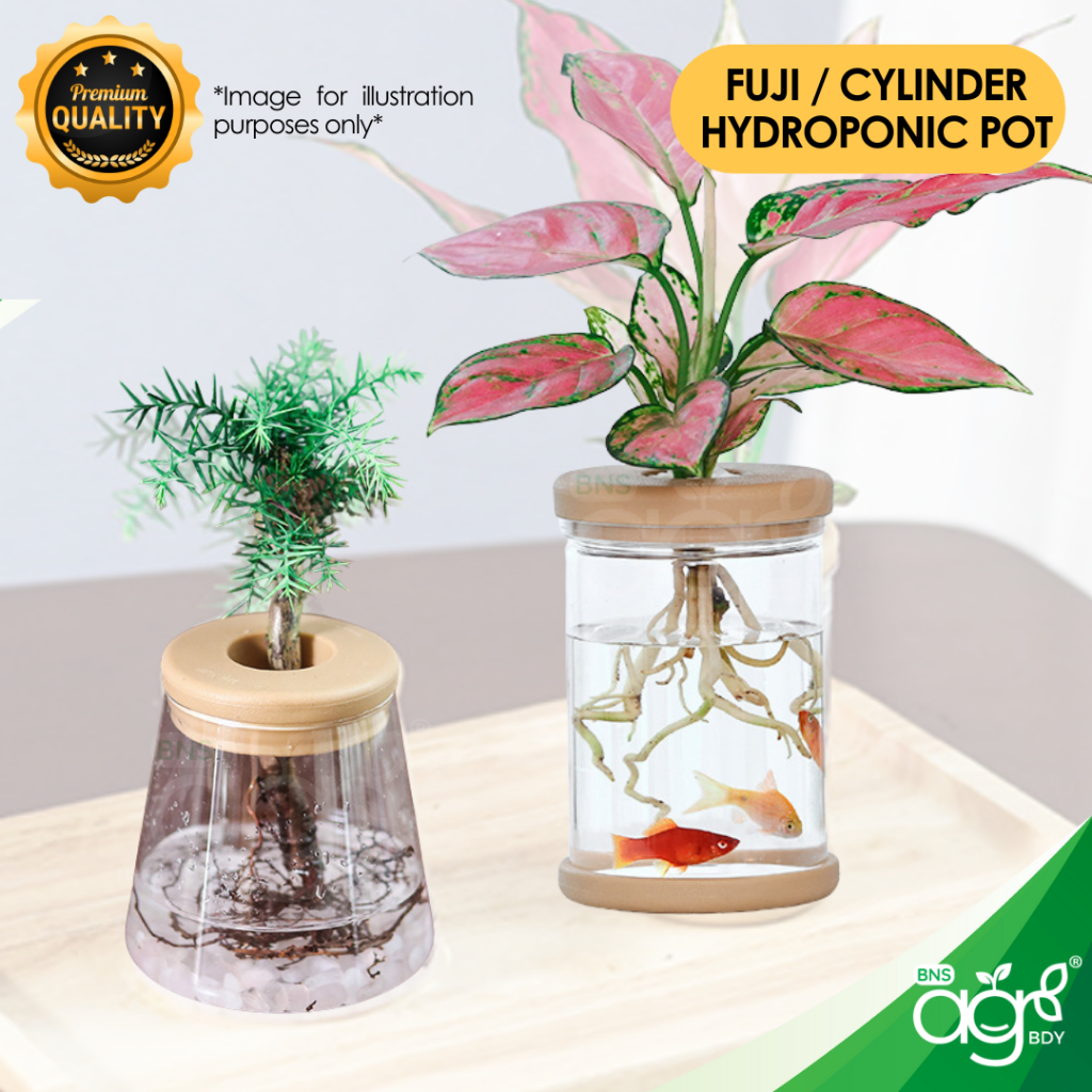 Pasu Bunga Hidroponik | Cylinder/Fuji Shaped Transparent Self Watering ...