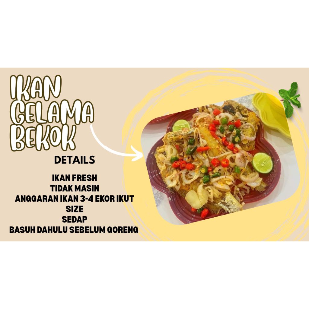Ikan Masin Bekok Ikan Gelama Bekok Ocean Fresh Ikan Kering Bekok ...