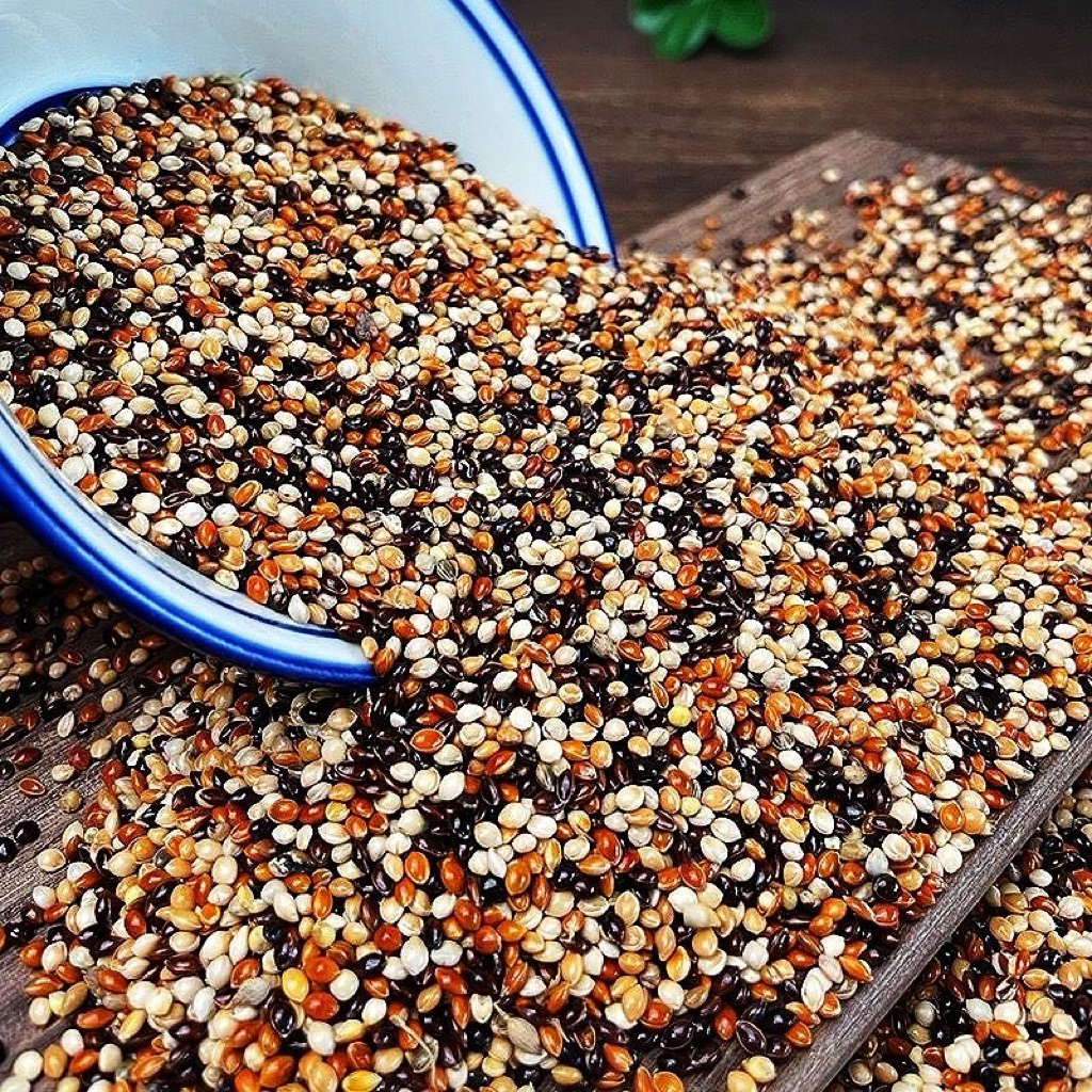 5 Mixed Millet Seed Natural Nutritions Bird Feed /makanan burung ...