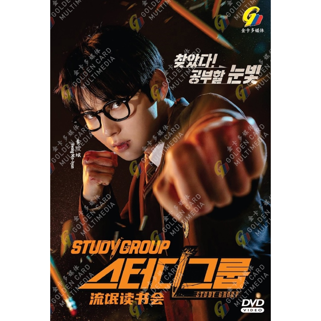 Korean Drama DVD Study Group TV Series Vol.1-10End ( 2025 , 流氓读书会 ...