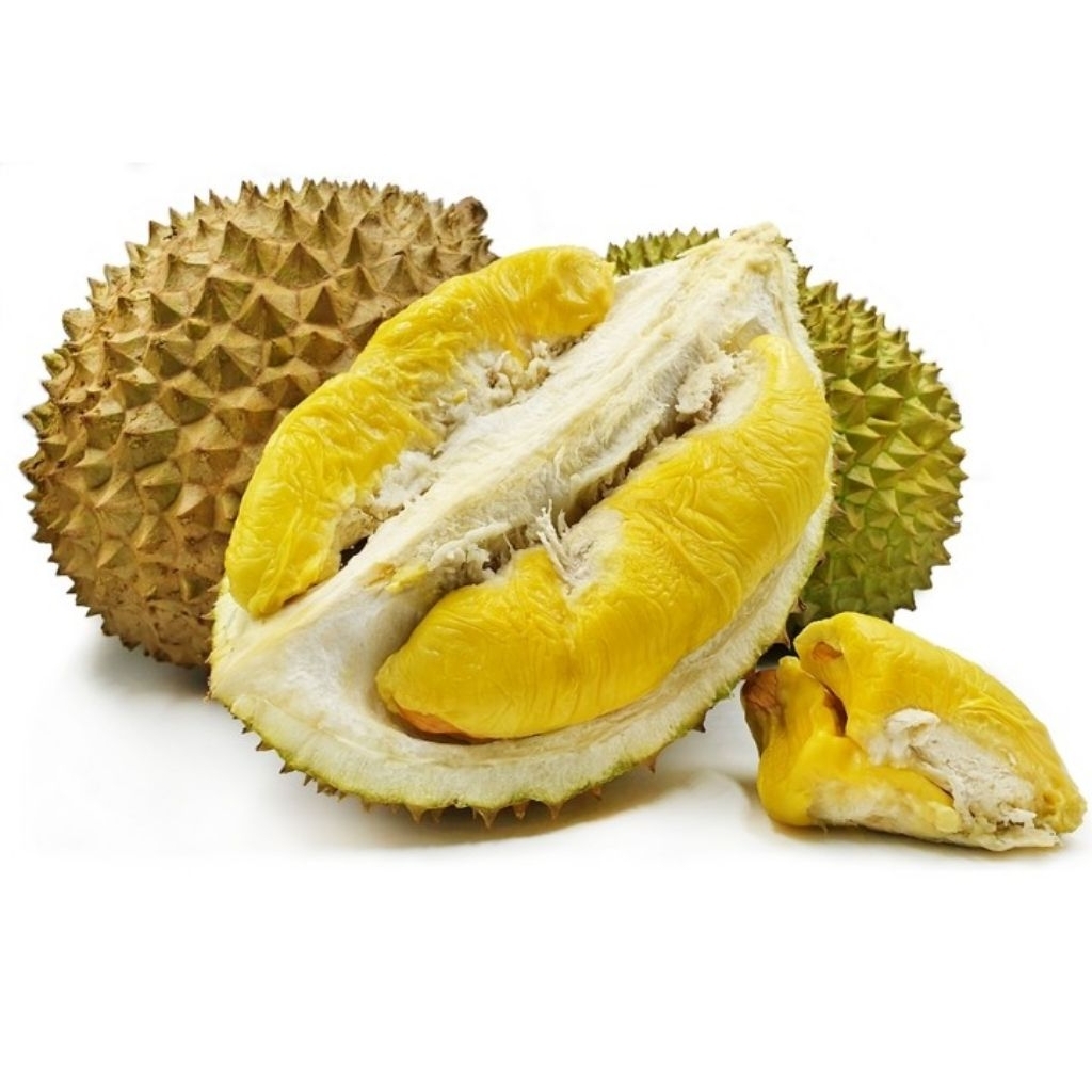 POKOK DURIAN MUSANG KING D197 | Shopee Malaysia