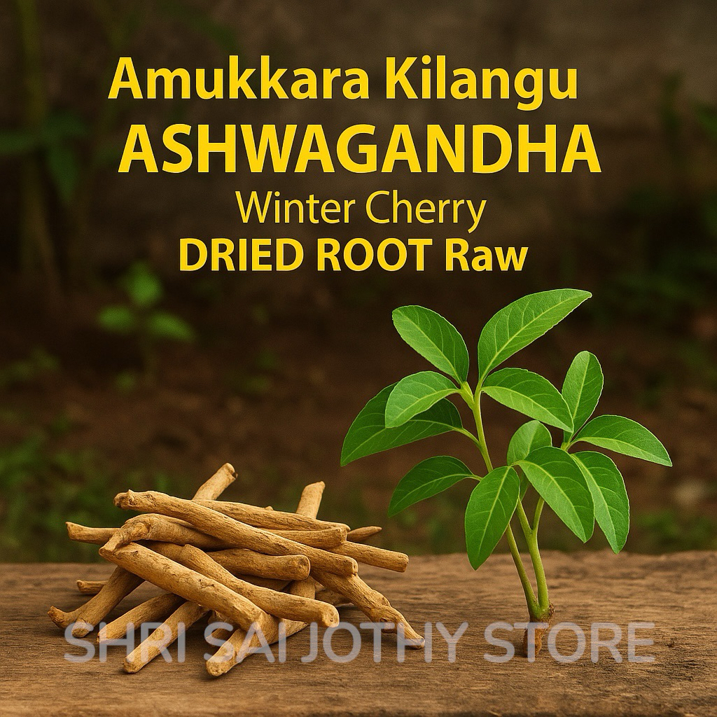Amukkara Kilangu Ashwagandha Winter Cherry Dried Root Raw | Shopee Malaysia