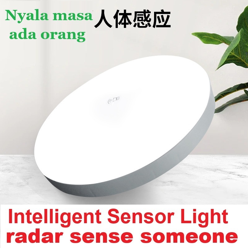 Led Sensor Light Sensor Someone Light White Ceiling Lamp 6500k Human ...