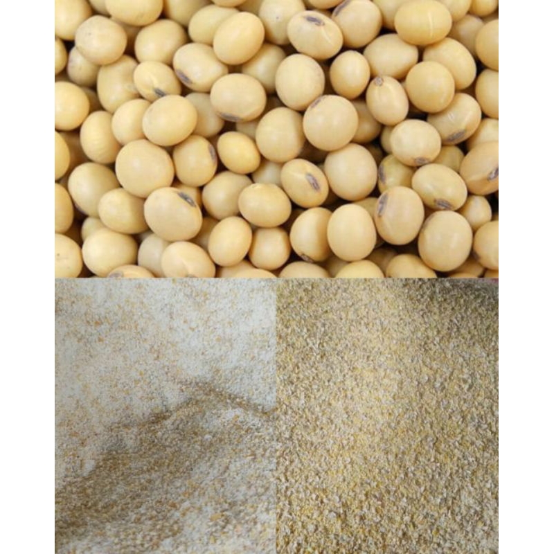 Serbuk Kacang Soya | soy bean powder 100% Original | khas untuk ...