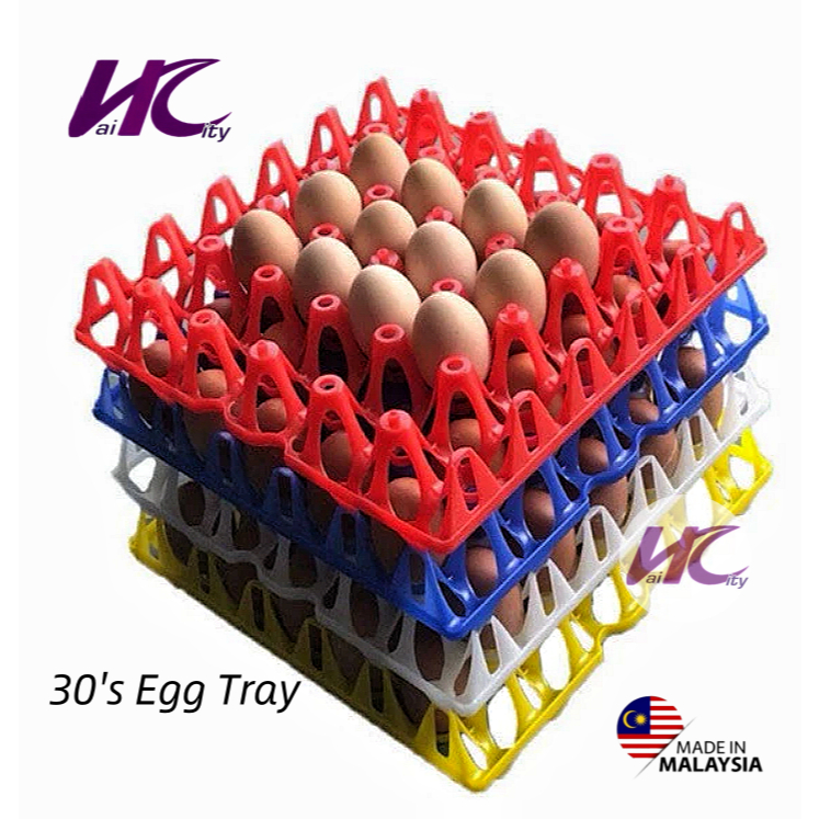(HC) 30 PCS Plastic Egg Tray Storage Plastic Egg Tray Container Egg ...
