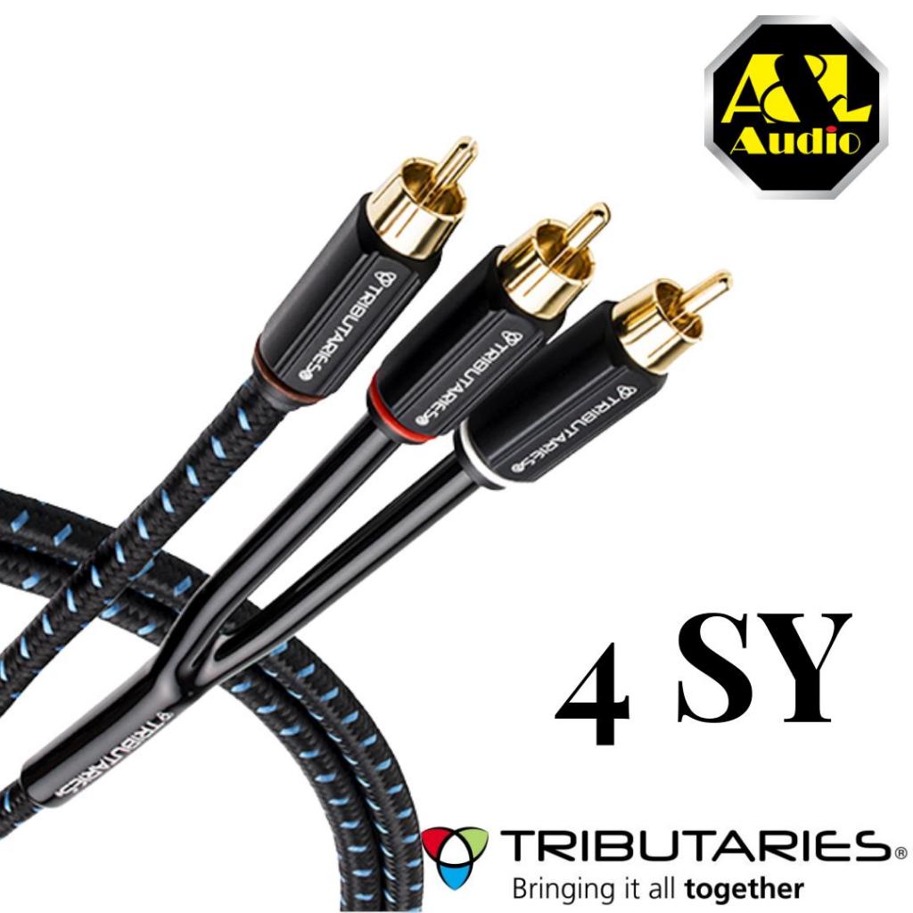 Tributaries 4SY Subwoofer Y Cable (4 Meter/Piece) | Shopee Malaysia