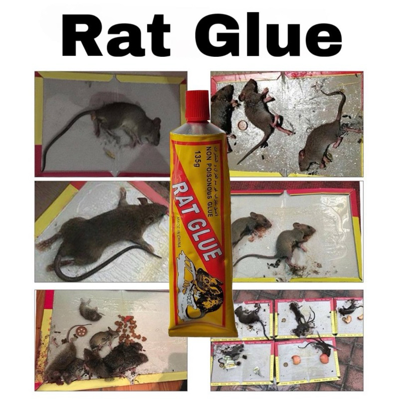 RAT GLUE NON POISONOUS GLUE GAM PERANGKAP TIKUS CICAK LALAT LIPAS SEMUT ...