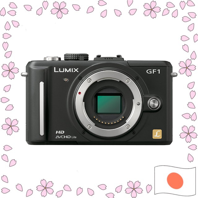 Panasonic Digital SLR Camera GF1 Body Esprit Black DMC-GF1-K USED ...