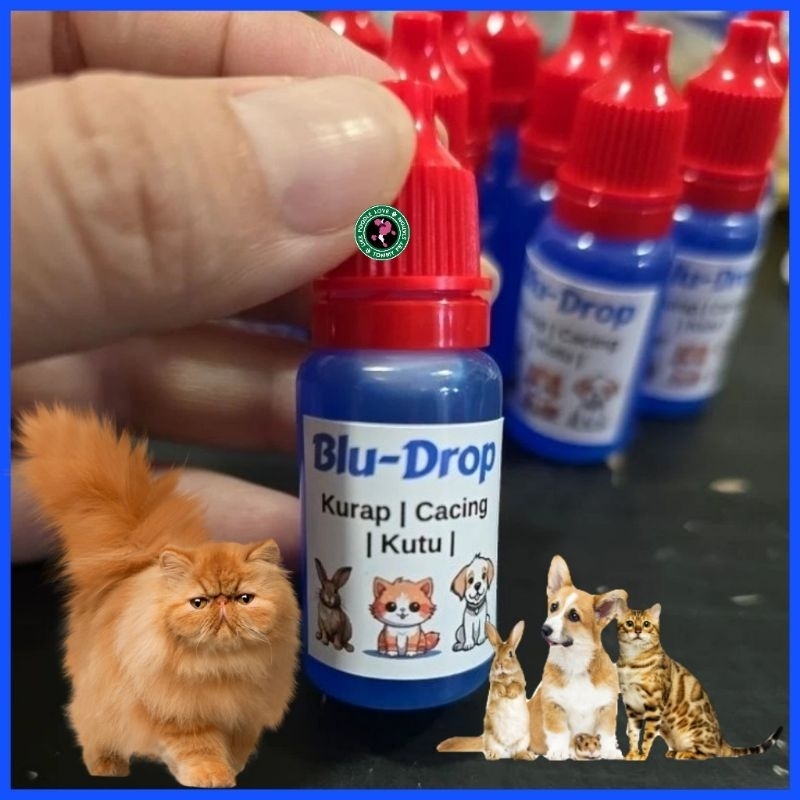 Blu-Drop 10ml Kurap Kucing dan haiwan kecil lain | Shopee Malaysia