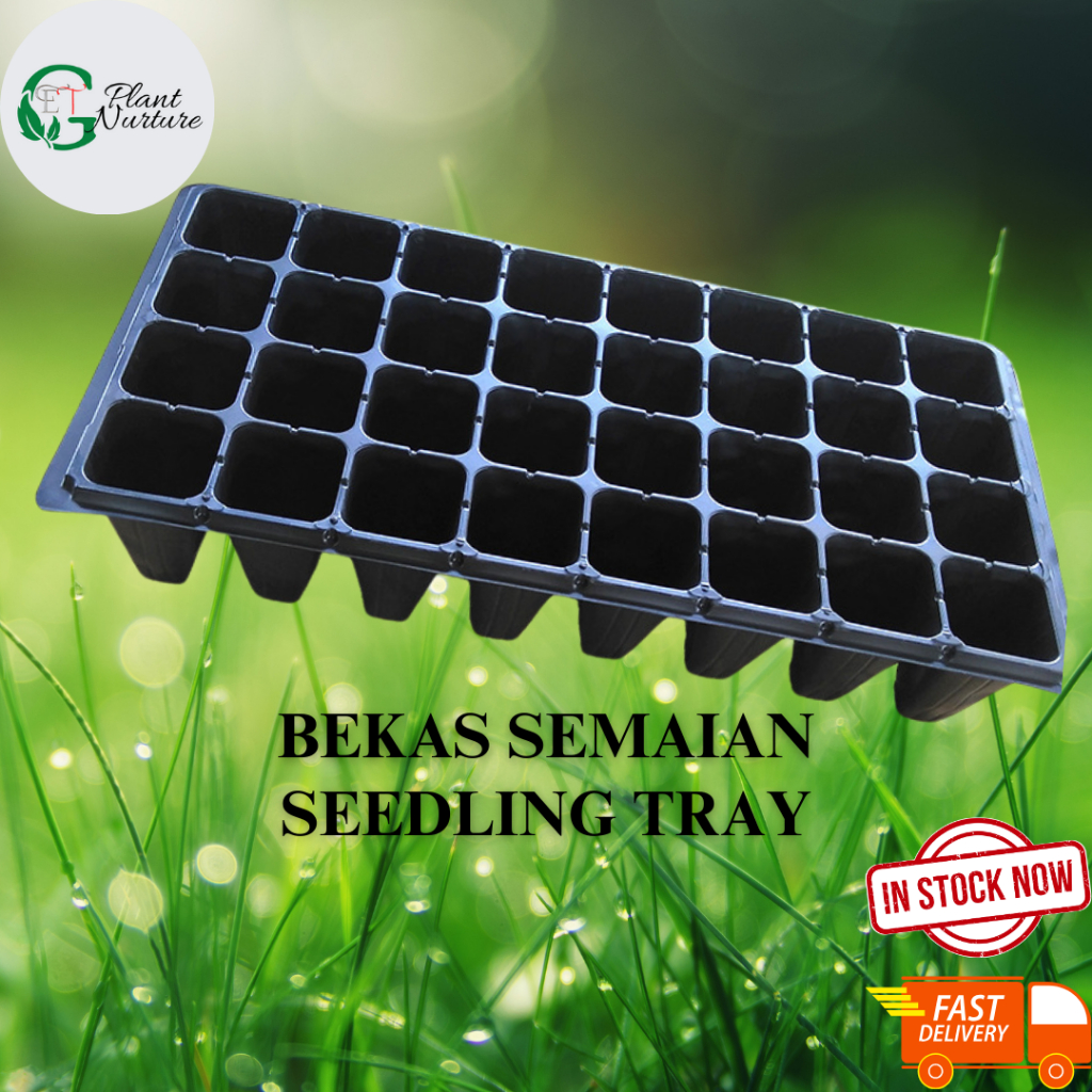 Plastic Seeding Tray | Bekas Benih Benih Semaian 105/200 Holes Nursery ...