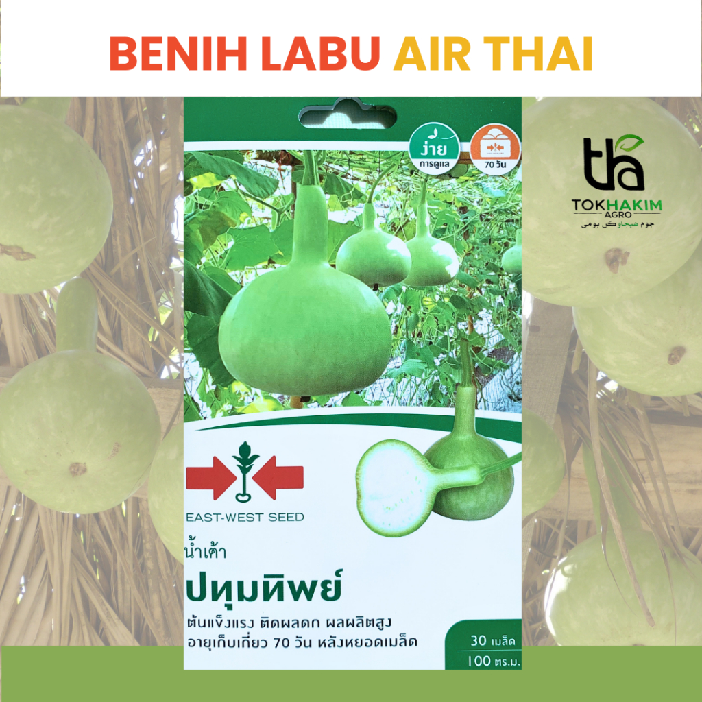 (30 biji) Benih Labu Air Bulat Import Thailand East West Seed Cap Panah ...