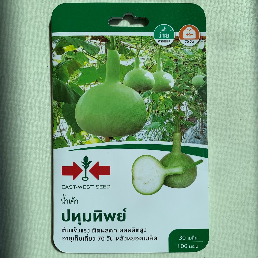 Benih Labu Air Bulat Import Thailand East West Seed Cap Panah Merah (30 ...
