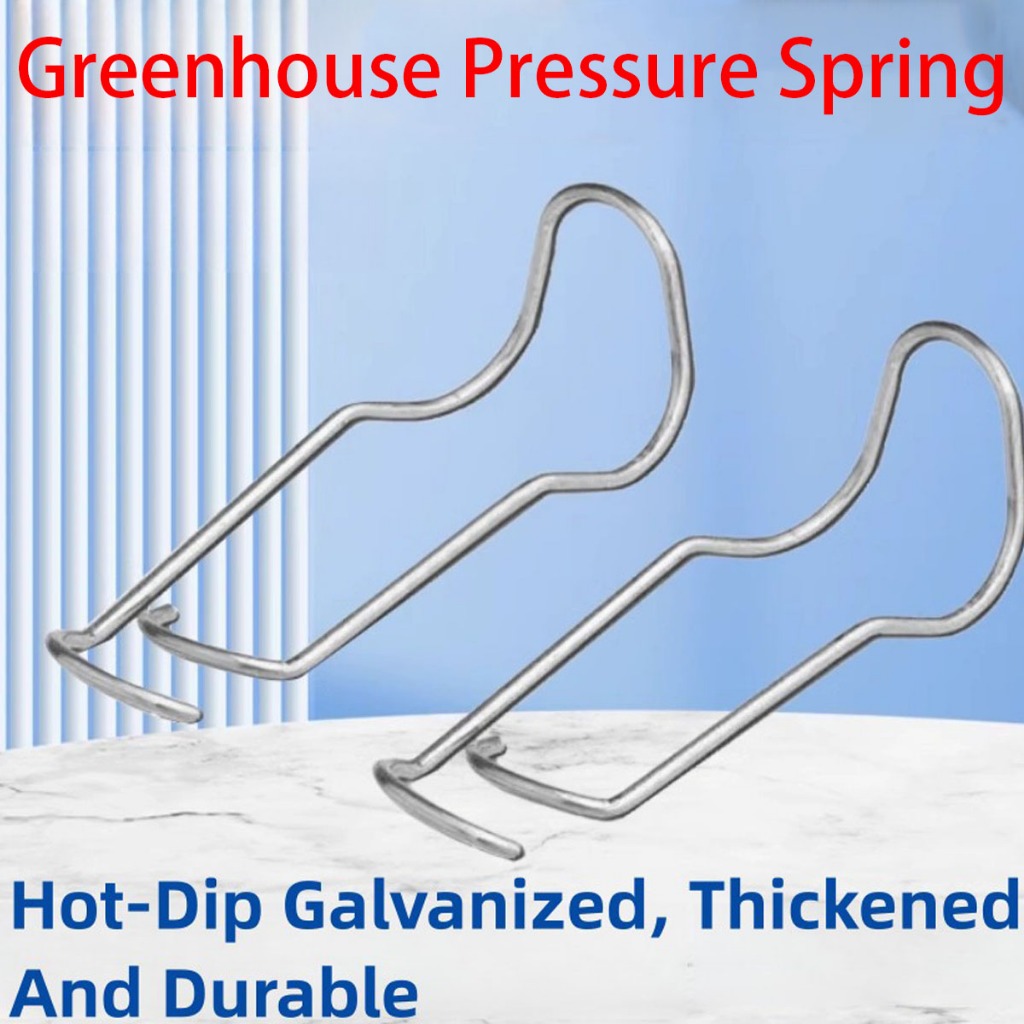 Greenhouse Spring Clips Long Spring Pengikat 20mm - 22mm 10pcs Besi ...