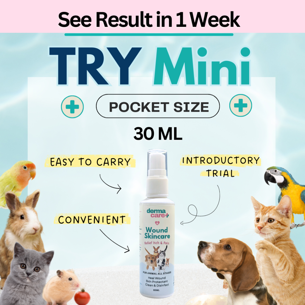 Dermacare Pet Skin Disease Itchy Wound for Dog Kucing Kulit Gatal Luka 宠物神仙水 HOCL Hypochlorous ...