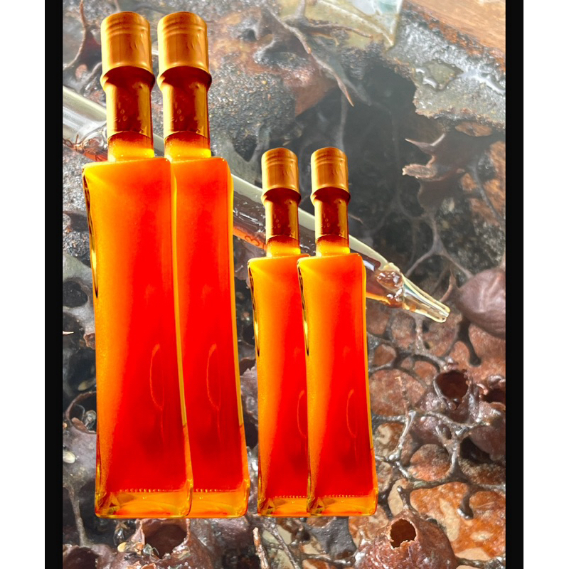 3 BOTOL / MADU KELULUT THORASICA ASLI 💯 PADU / 900ml | Shopee Malaysia