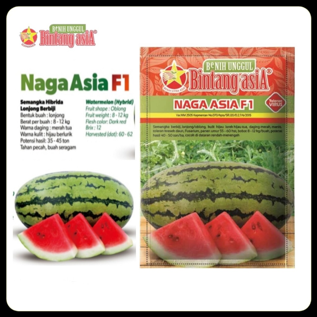 BINTANG ASIA - BENIH TEMBIKAI MADU BUJUR LONJONG HIBRID F1 NAGA ASIA ...