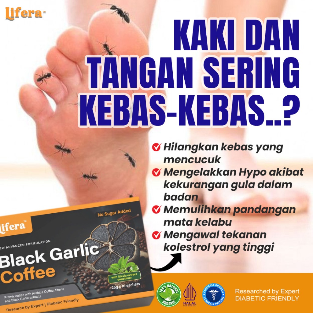 Kopi Black Garlic Lifera Solusi Penyakit 3 Serangkai Kencing Manis ...