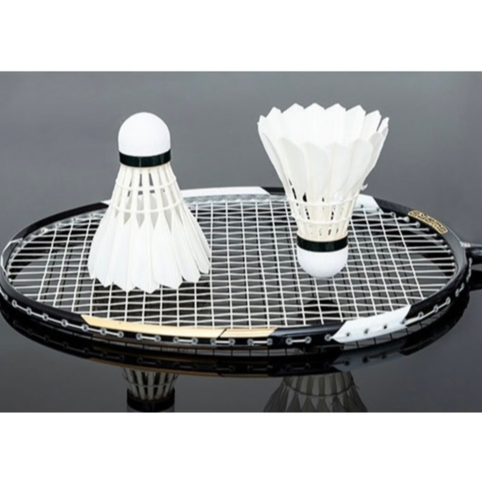 Badminton Shuttlecock / Bola Bulu Tangkis Badminton Bola Badminton ...