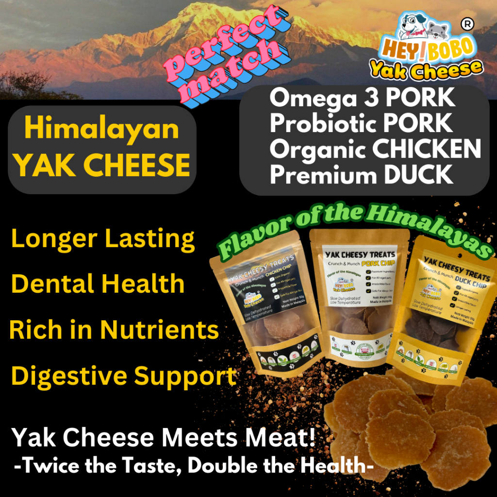 [HEY!BOBO]100% Hand Made Himalayan YAK CHEESE OMEGA Probiotic Pork ...