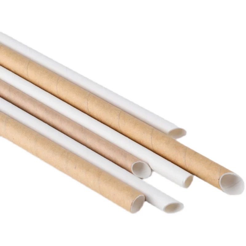 [ready stock] 100pcs paper straws/biodegradable 0.6*197mm and 1.2*230mm ...