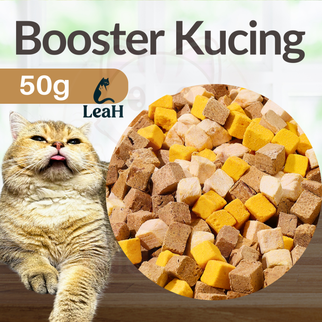LeaH (50g) Booster Kucing Gemuk Bulu Freeze Dried Pet Food Snack Cube Repack 宠物冻干零食发腮美毛 | Shopee ...