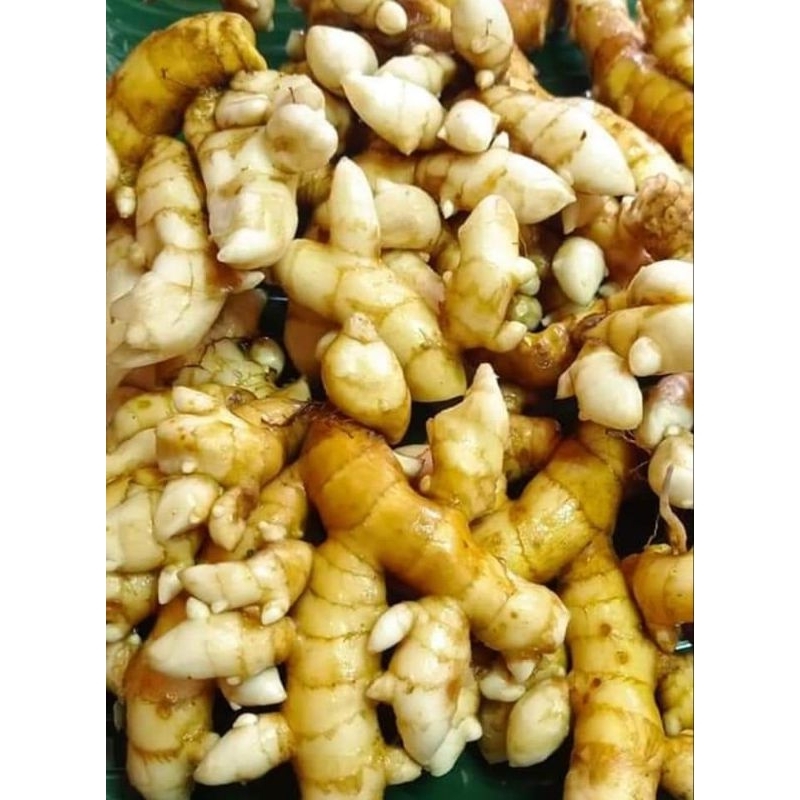 temu mangga/Rizom/ulam | Shopee Malaysia