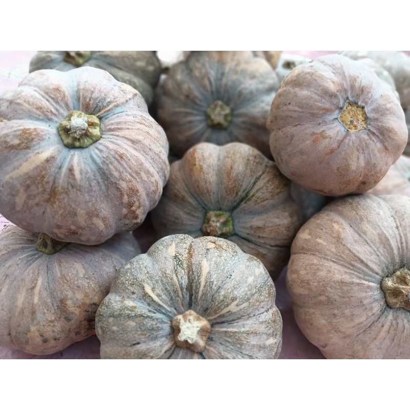 Buah labu Manis/sweet pumpkin Rm4.50/kg ready stock | Shopee Malaysia