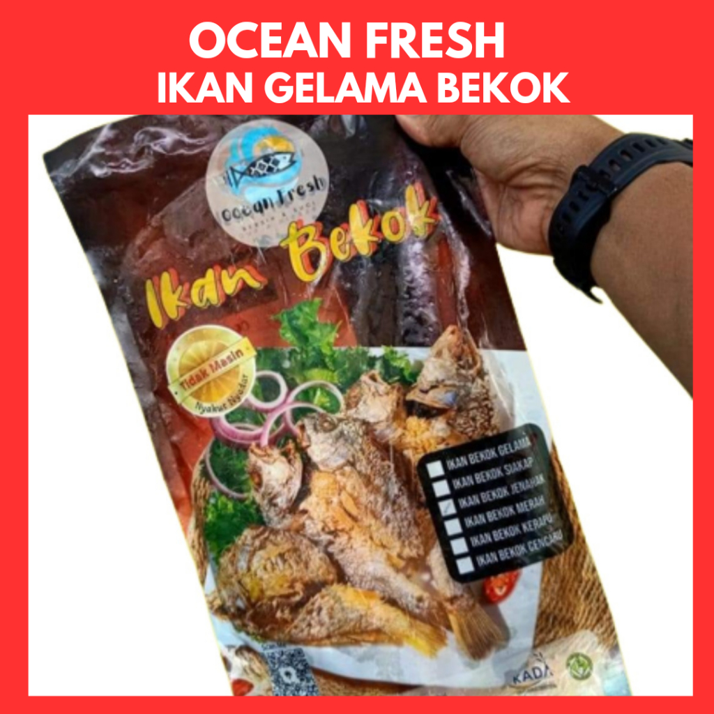Ocean Fresh Ikan Gelama Bekok Ike Bekok berat 500g isian 2-3 ekur segar ...