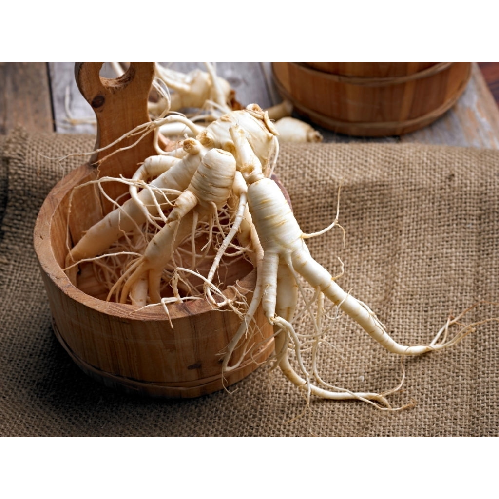 Licorice Extract (Glycyrrhiza Glabra (Licorice) Root Extract) - COSMOS ...